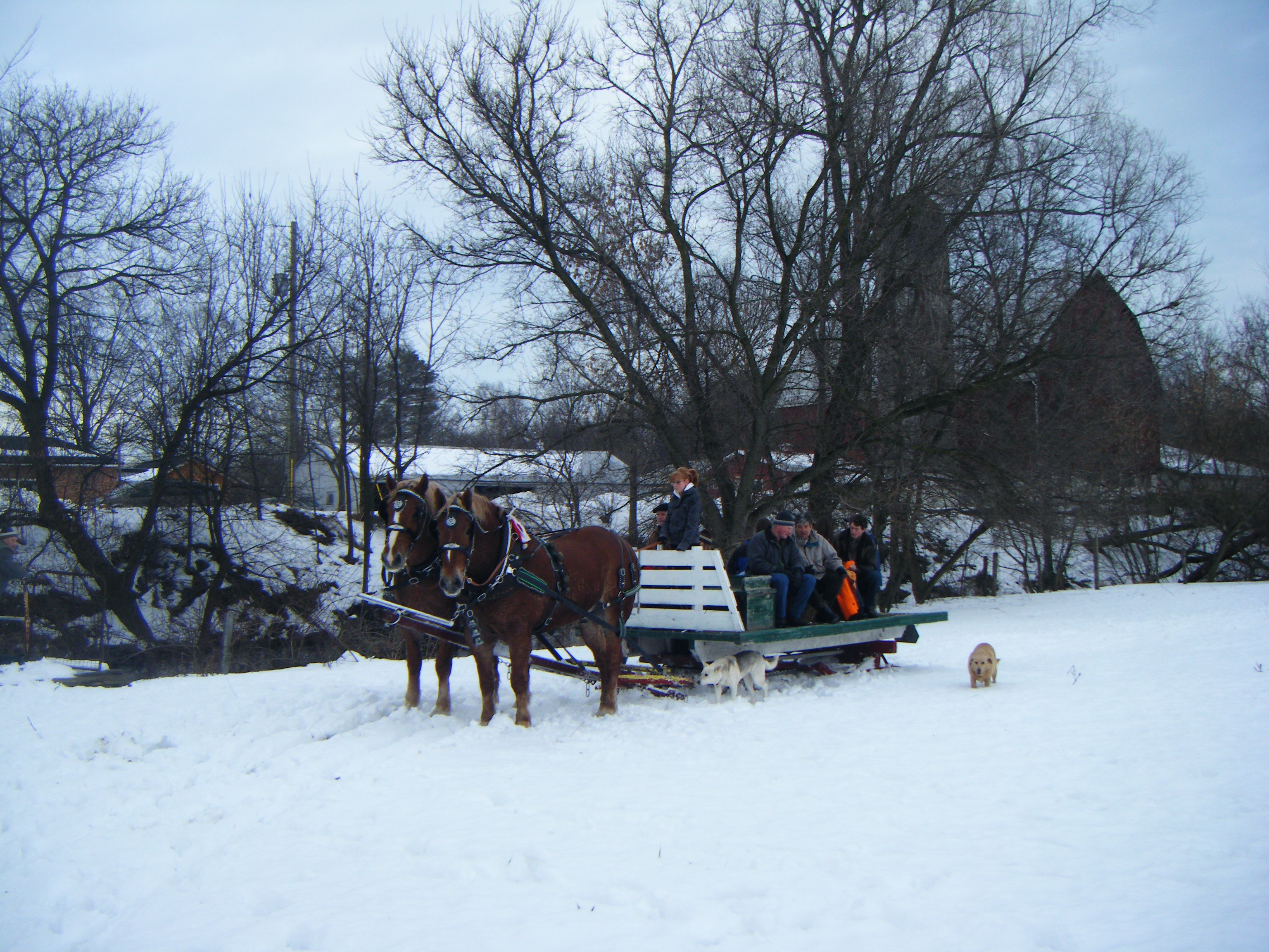 Untitled Document [evergreenhillfarm.ca]